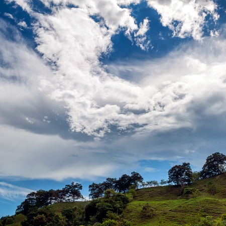 Río abajo | Miguel Portillo